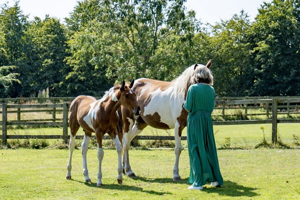 The Fantastic Getaway of Abbey Farm Holiday Park